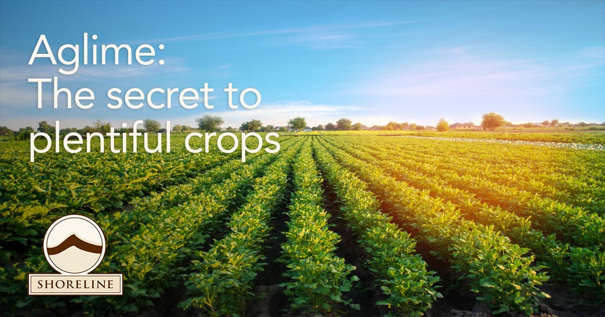 Aglime: The Secret to Plentiful Crops - Shoreline Aggregate